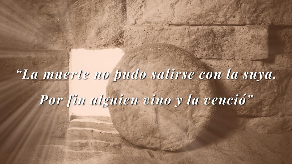 ¡Vive! | Cristo Para Todas Las Naciones - Chile